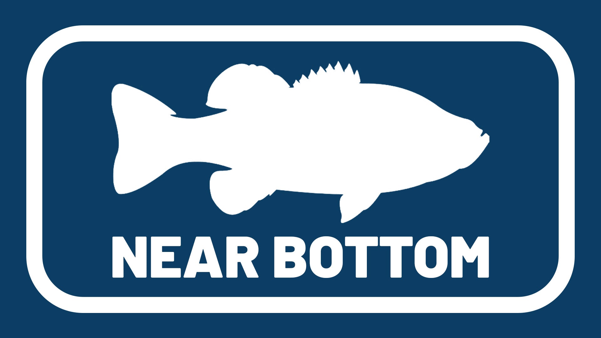 Bottom Fishing Near Shore" on Salty Dog $190 +Tax – Sea Breeze Charters